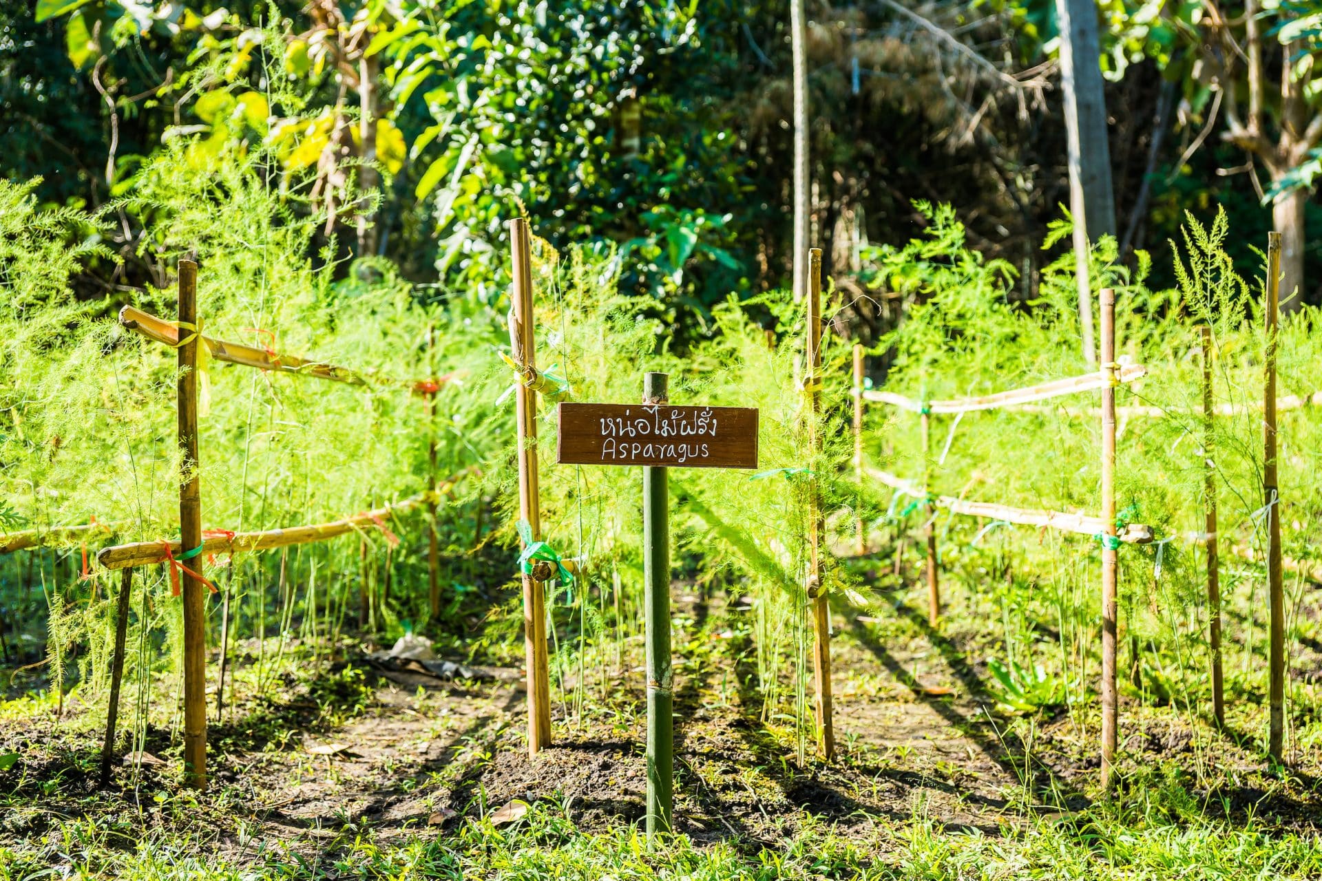 Social Responsibility