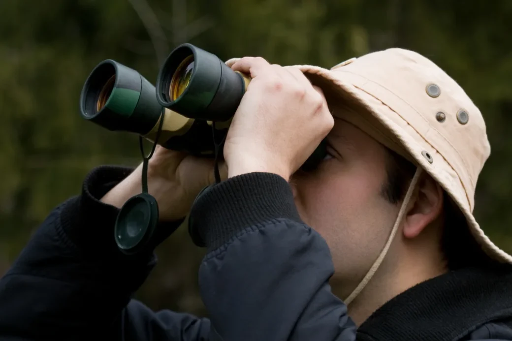 Beginner’s Guide To Birdwatching How To Get Started